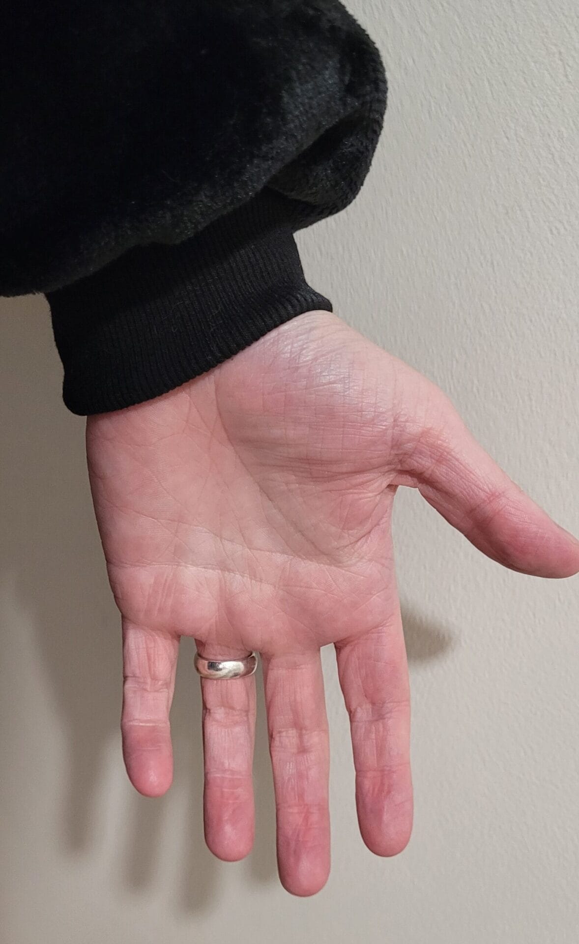 Three Poodle Wearable Blanket Hoodie - My Helpful Hints®